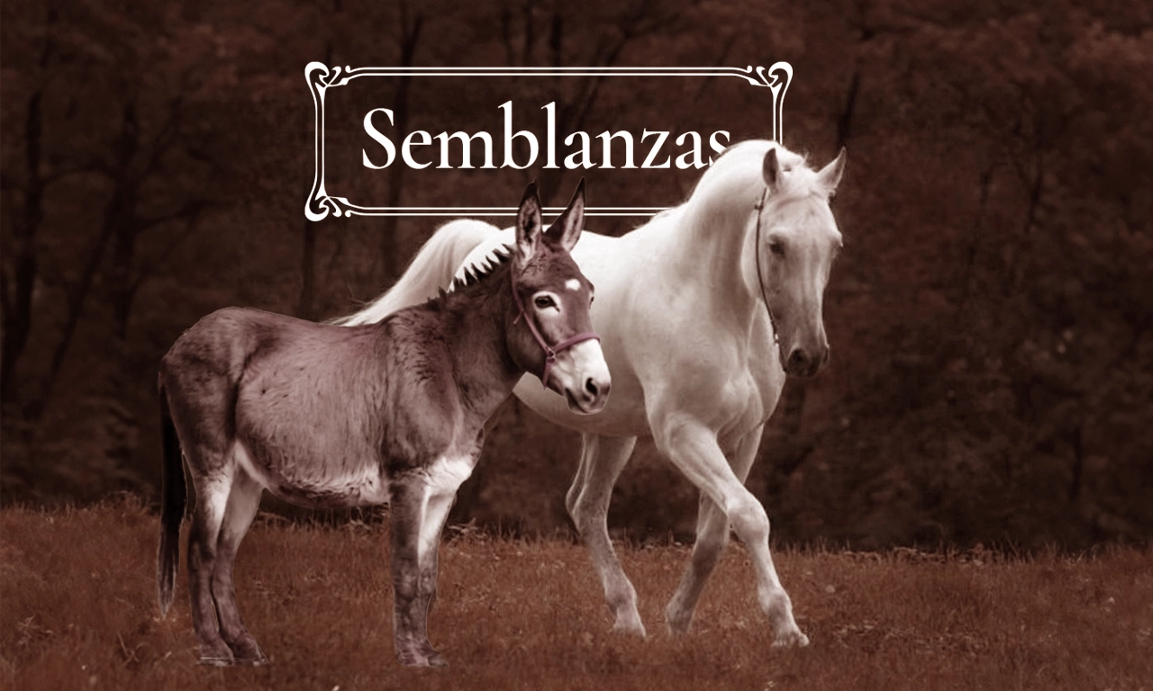 El burro se convirtió en corcel